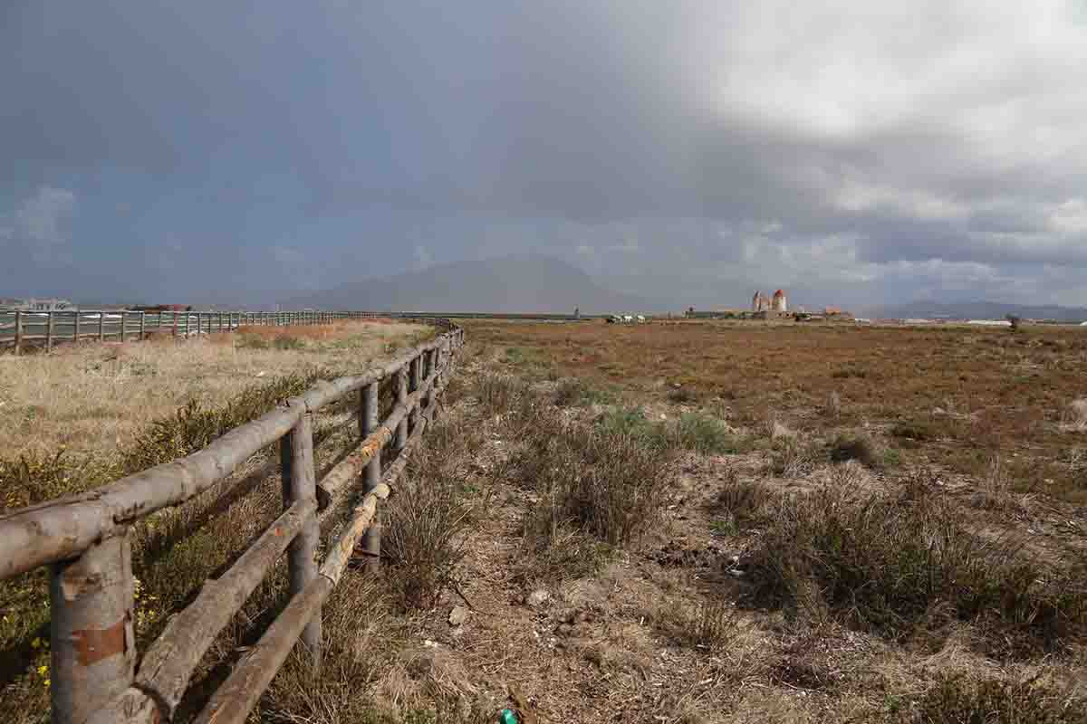 Azione D.1 - Monitoraggio autunnale delle nuove popolazioni di ...