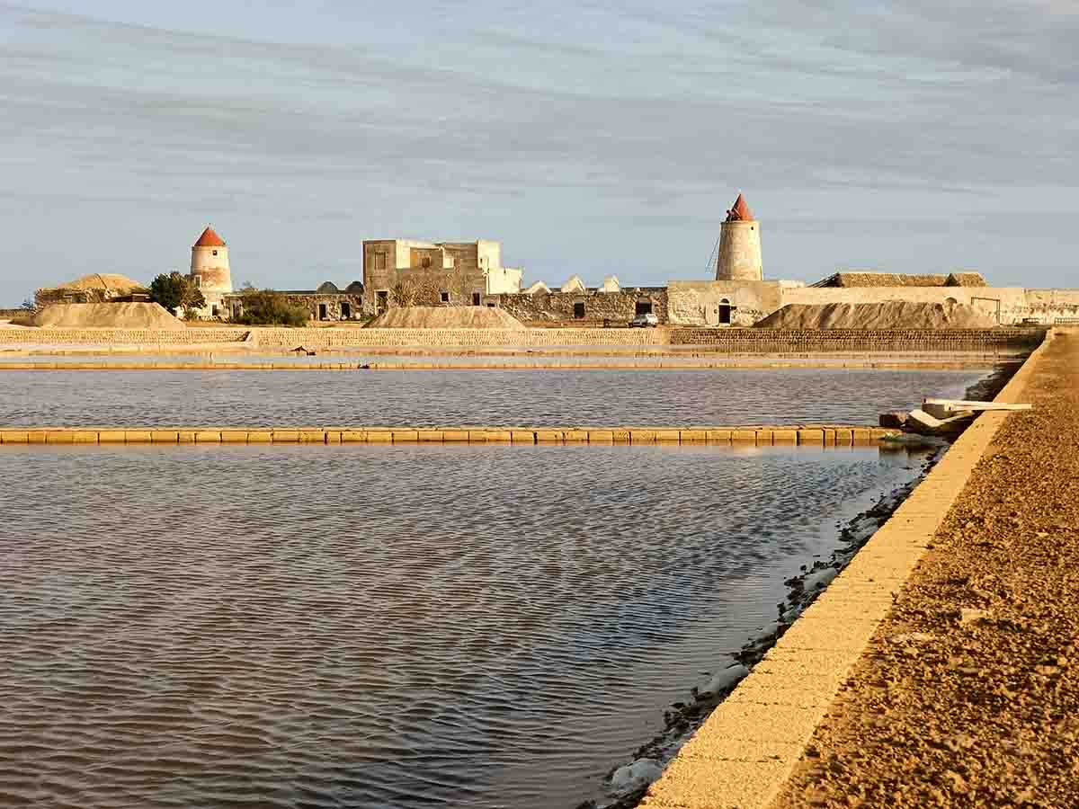 Monitoraggio dei nuovi impianti di Calendula maritima a Salina Calcara ...